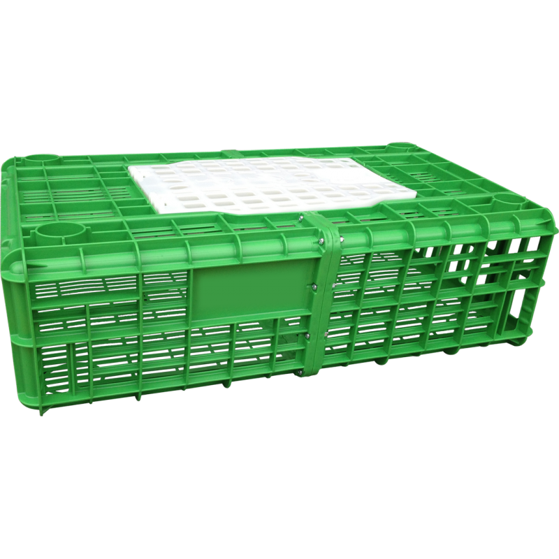 JABA PARA TRANSPORTE DE POLLO VIVO (PEAD) – FRATAR